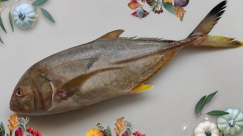 Salmons - buy KING FISH/NEYMEEN/AYAKURA-BIG (ABOVE 5KG) online kochi