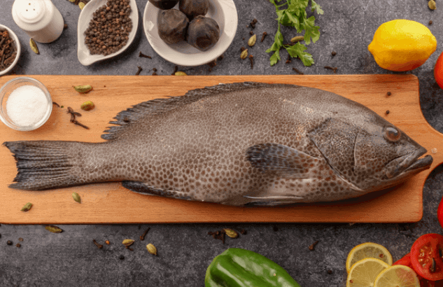 Salmons - Fresh Fish Store in Kochi