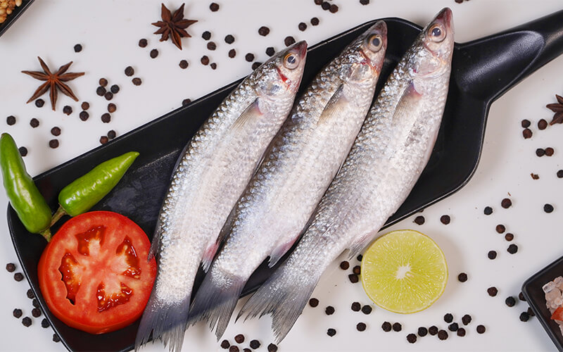 Salmons - buy BACKWATER FISH online kochi, kerala
