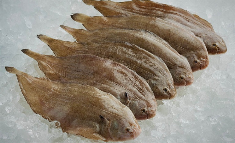 Salmons - buy fish online kochi, kerala